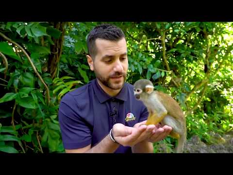 Exploring Monkey Jungle | Miami, Florida