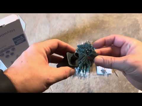 Light Test, Twinkle, and Review of HeyWorld Soft Twinkle LED Christmas Lights