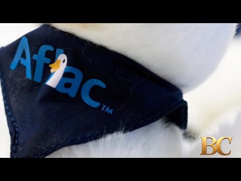 Cybercriminals breach Aflac as part of hacking spree against US insurance industry