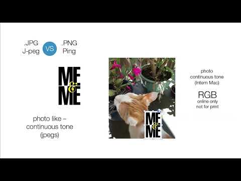 Logo File Formats - The best file format for specific uses.