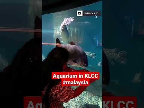 best place to visit In malaysia #trending #shortsvideo #couplegoals #vikram #leo #ipl #vlog #tamil