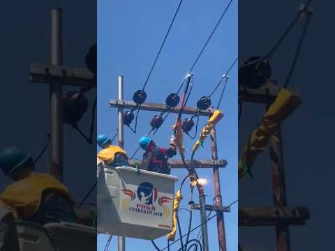 electrical 11 kva work #electrical #lineman #shorts #short #shortsfeed