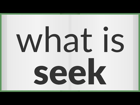 Seek | meaning of Seek