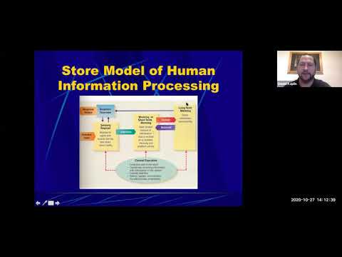 Understanding Cognitive Development: Discover How Information Processing Impacts Human Growth