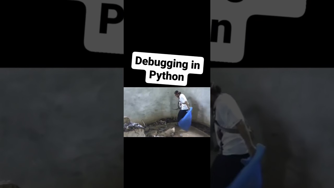 Debugging in python Not easy Like Flutter