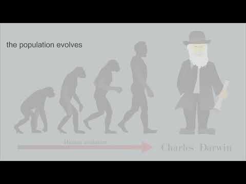 Biography of Charles Darwin, Struggle For Existence, The Survival of The Fittest