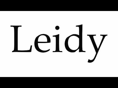 How to Pronounce Leidy