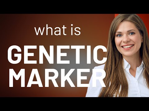 Genetic marker • definition of GENETIC MARKER
