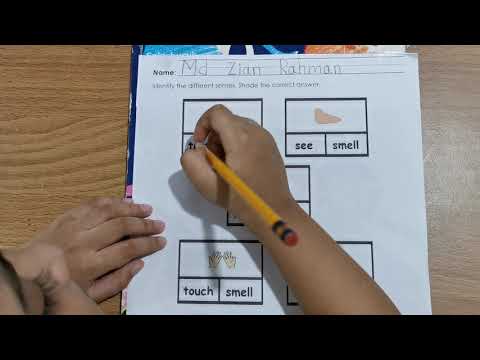 Science worksheets for kg (kindergarten).(Five senses Part -2).Learn with Zian, preschool education