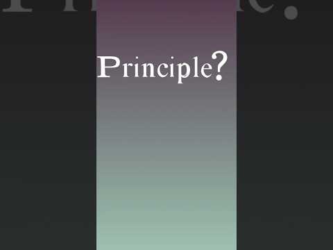 Principle meaning #shorts