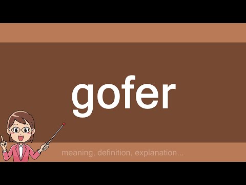 gofer