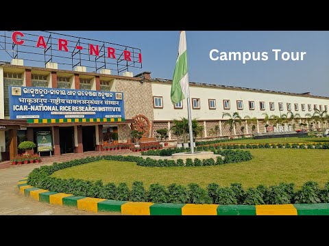 National Rice Research Institute Cuttack | ICAR | Cuttack | Odisha