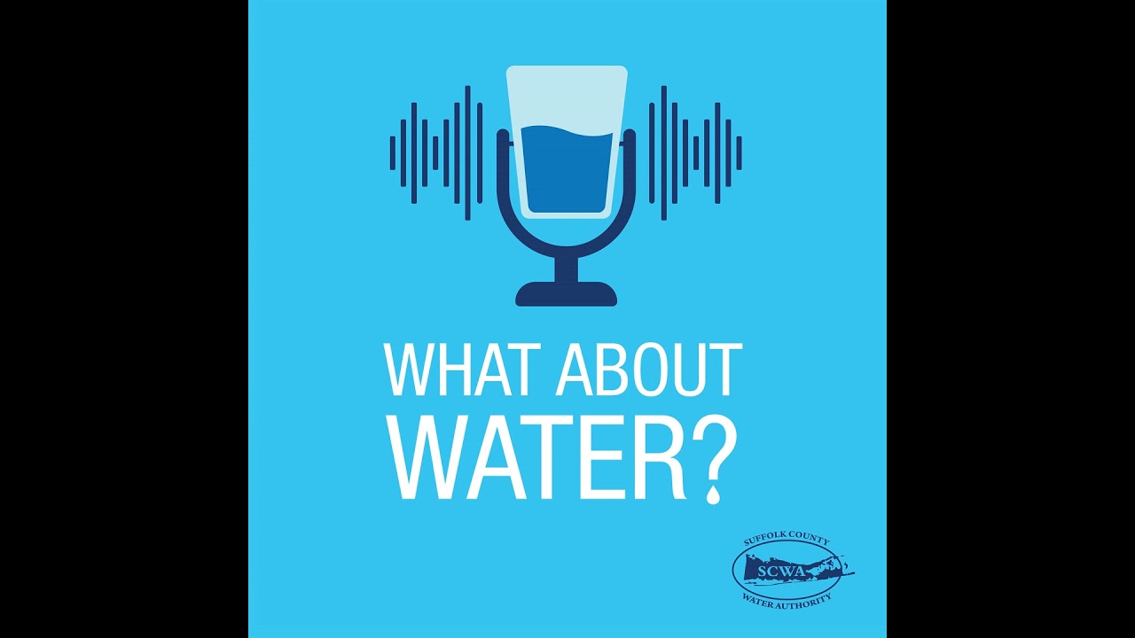 What Should Voters Know About Proposition 2? Ft. Suffolk County Executive Ed Romaine
