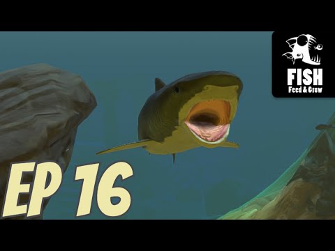 Steam Community :: Video :: Tiger shark Shows no mercy! | Feed and grow ...