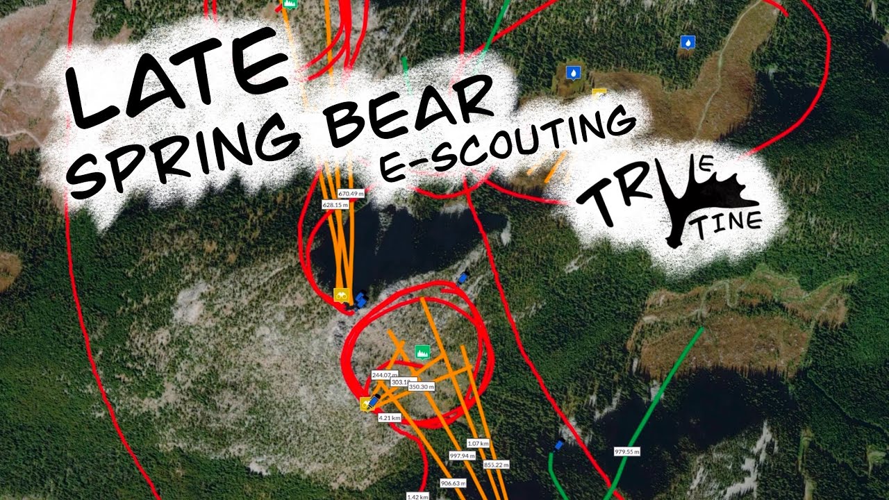 E-Scouting a Late Spring Bear Hunt 2024