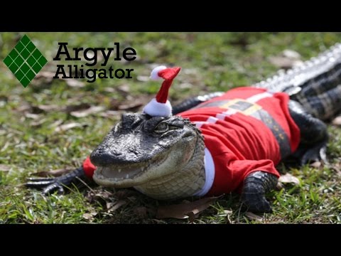 Steam Community :: Video :: Argyle Alligator Christmas Special (Rust ...