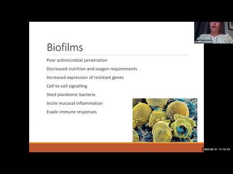 AOM and Complications - Dr. Melissa Scholes