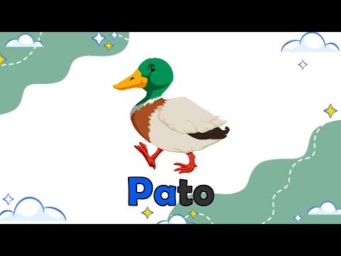 Actividades letra P Parte 1