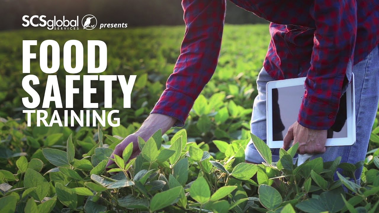 Food Safety Training with SCS