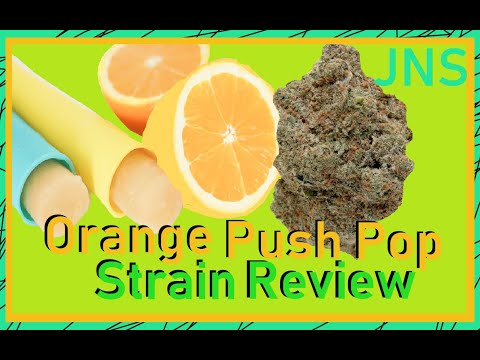 Orange Push Pop Kush Strain Review (delicious Strain)(smoke session)