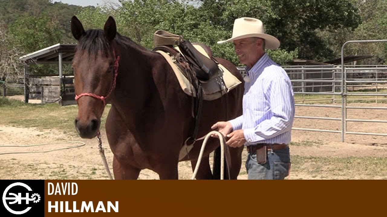 Saddling Details with David Hillman – Eclectic Horseman