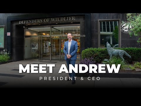 Meet Andrew