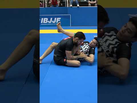 João Miyao awesome submission #bjj #ibjjf #jiujitsu #cbjj