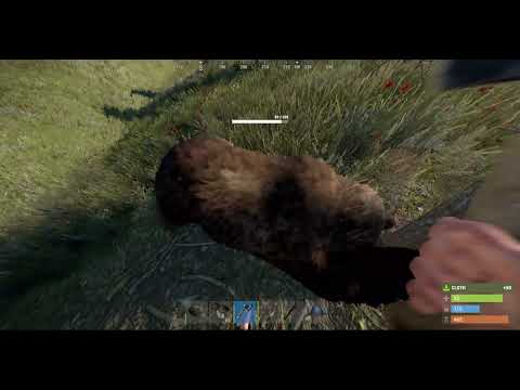 Steam Community :: Video :: Best Way To Kill A Bear In Rust Before You ...