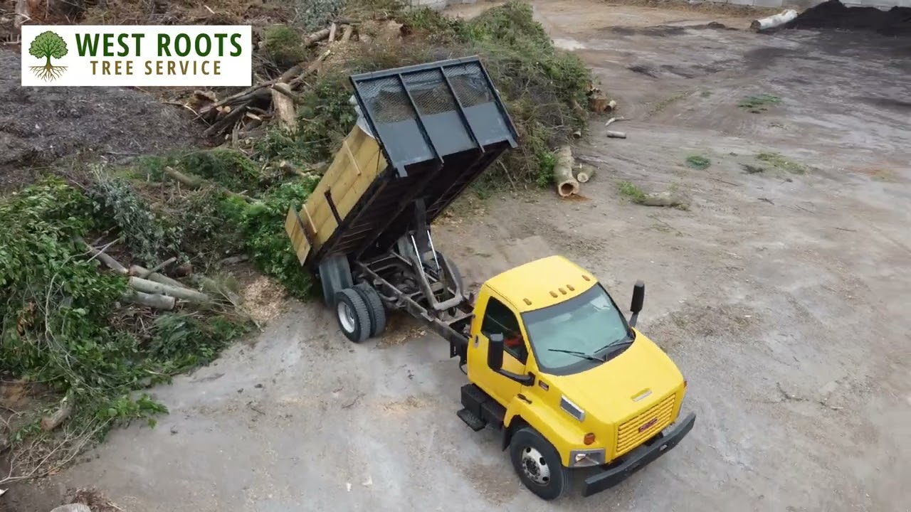 West Roots Tree Service