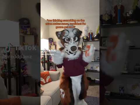 Tests be like that sometimes #furry #furries #fursuit #viral #tiktok #fyp #shorts
