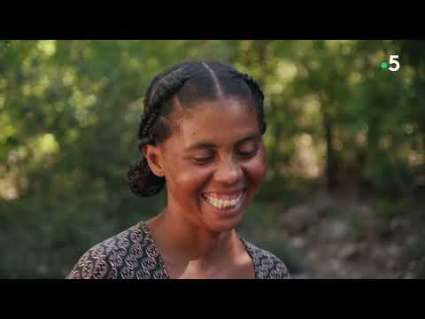 Madagascar Les bons génies de la forêt