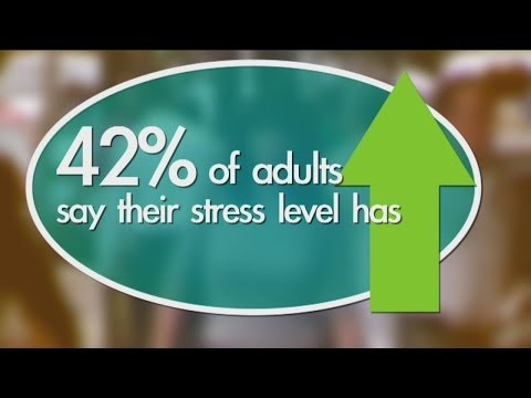 Are you stressed?