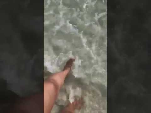 Bahamas 2016