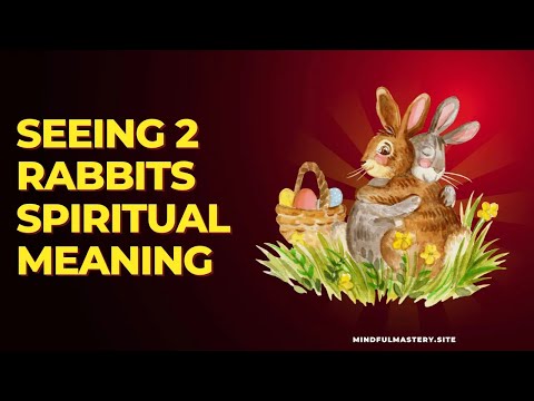 Seeing 2 Rabbits Spiritual Meaning What To Do Now! | Mindful Mastery