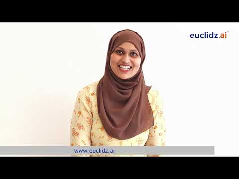 Euclidz Technologies Introduction | Chatbot Development, AI & BI Company in Dubai, the UAE