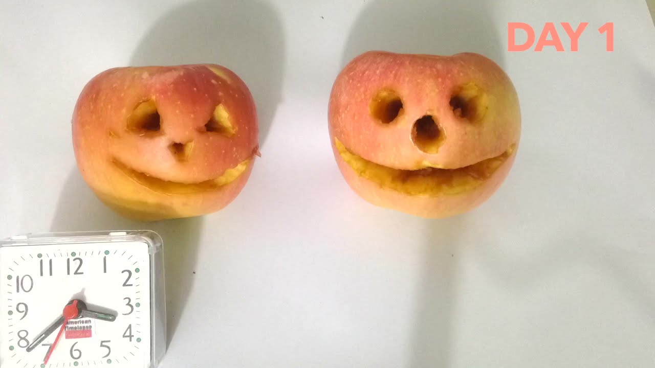 Apple Face Decomposition Time-lapse 28 Days