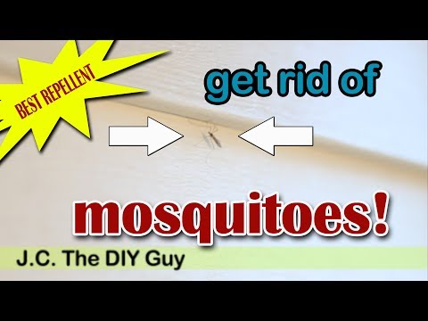 How to get rid of mosquitoes in home - Best Mosquito Repellent