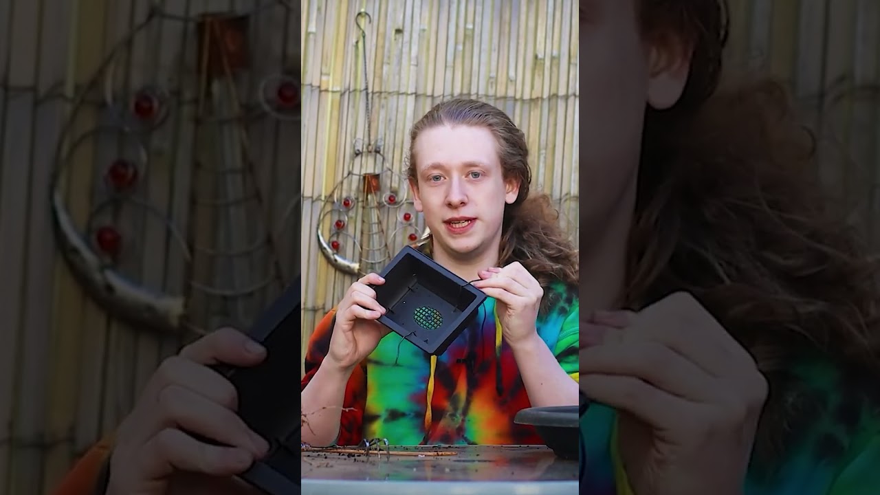 Making a Fuji Cherry Bonsai