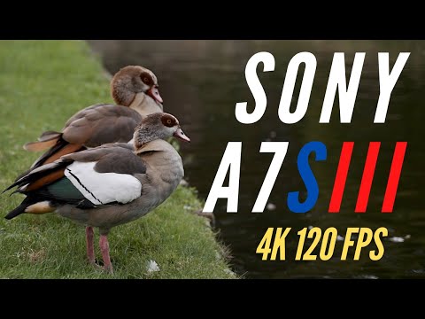 Sony A7SIII sequence - 4k 120 fps - Slog 3 - 10 bit