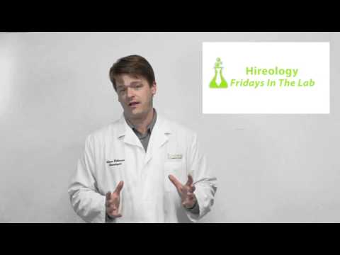 Fridays in the Lab: What is Selection Management?
