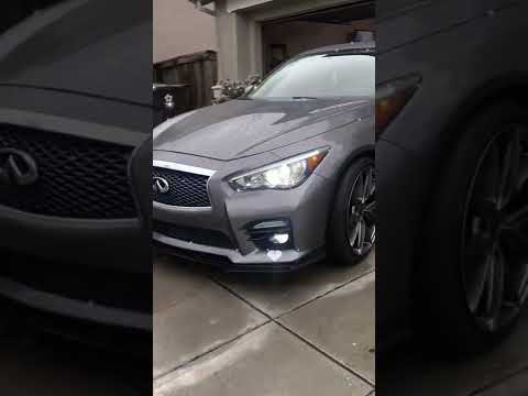 Niche misano on Q50s