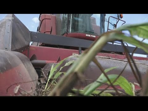SC Closer to year long daylight savings time