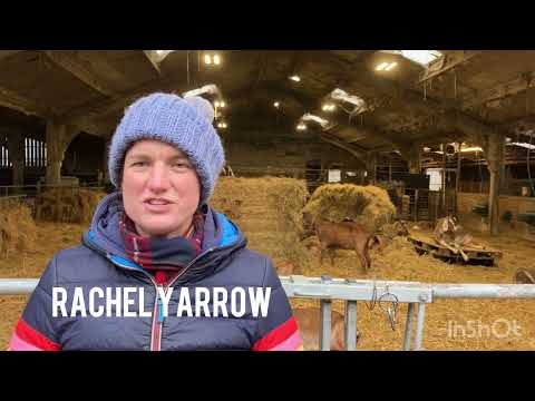 Meet Rachel Yarrow, 2024 Nuffield Farming Scholar