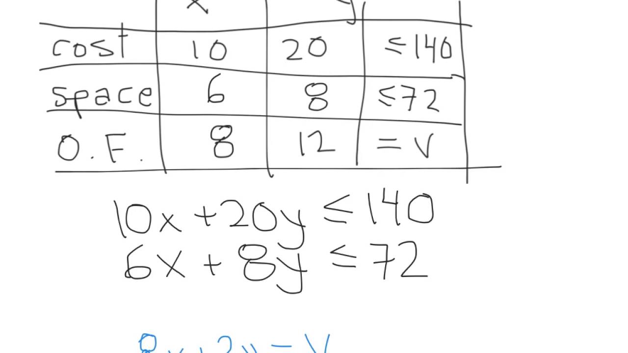 1010 linear programming problems
