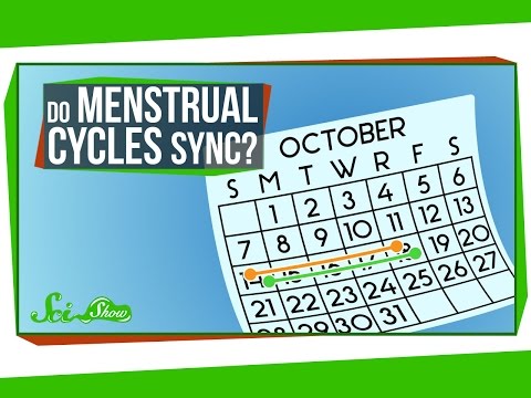 Do Menstrual Cycles Really Sync Up?