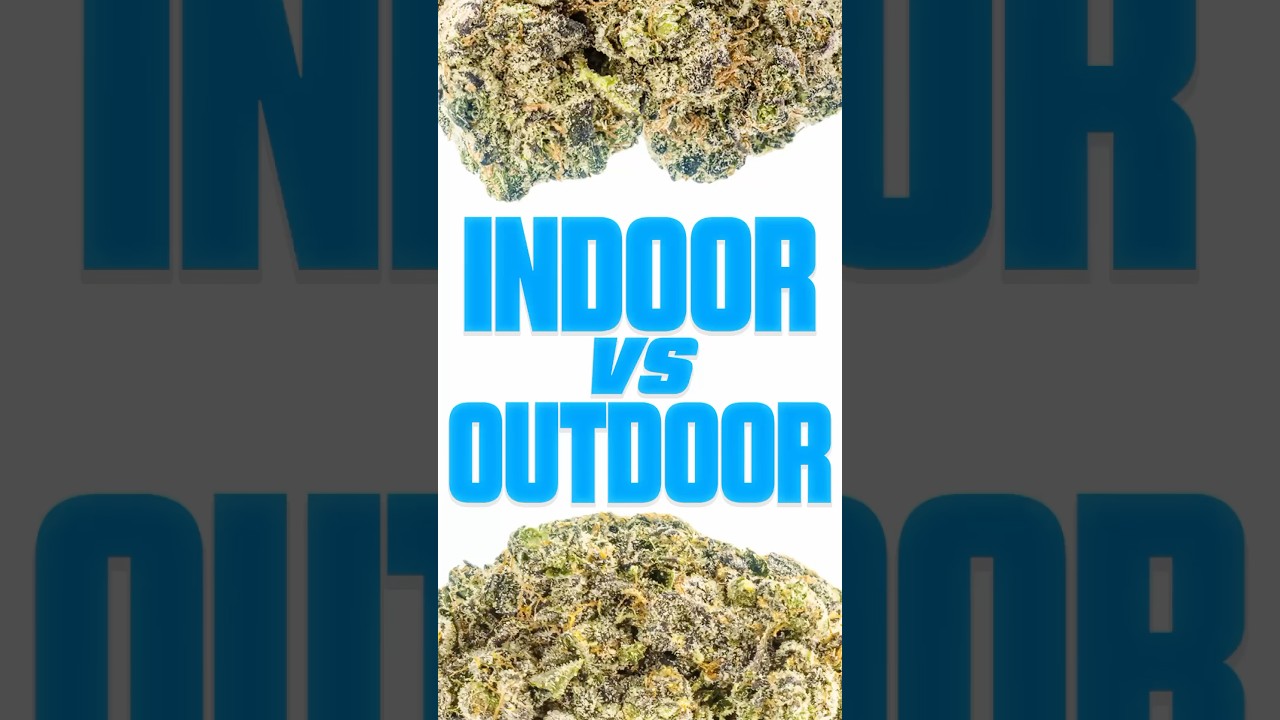 Indoor VS Outdoor Cannabis