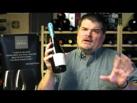The Wine Review Video - Ep. 32: Santa Alicia 2013 Tierra Sur Brut