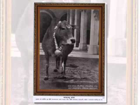 Shri Shri Ram Thakur, Kaibalyadham Jadavpur, Kolkata, 13