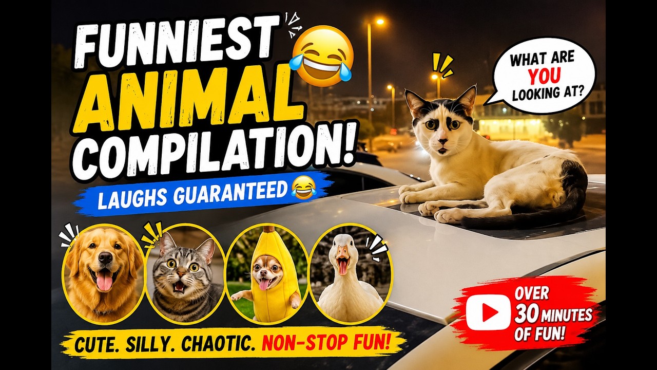 These Animals Share One Brain Cell 😂😭
