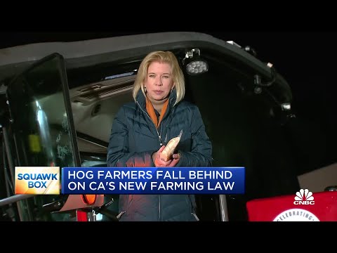 U.S. hog farmers fall behind on California's new farming law
